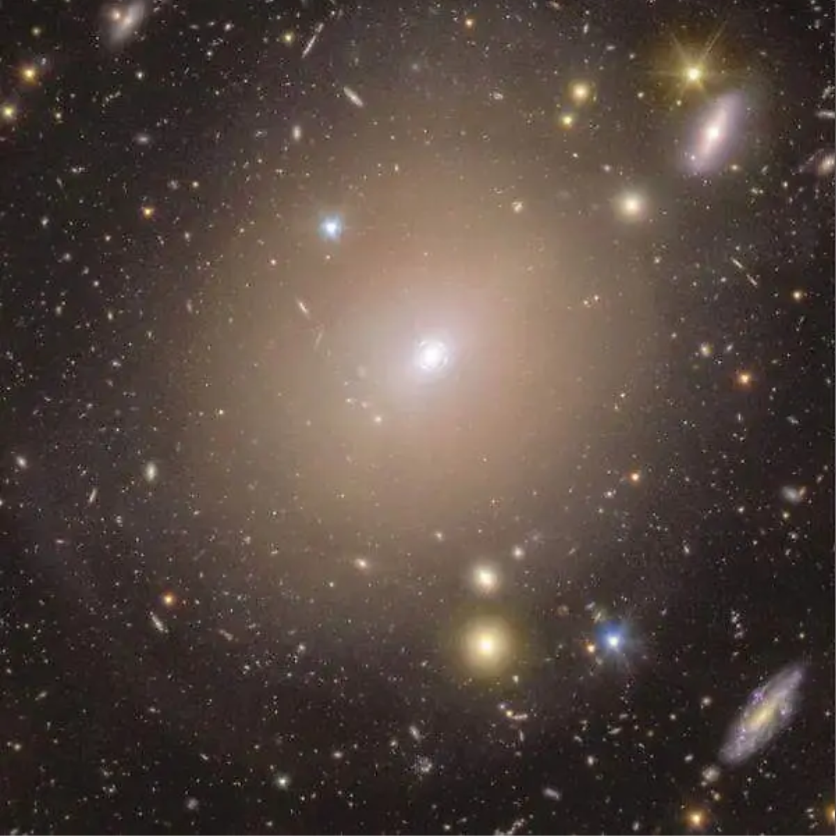 ¿Qué es un Anillo de Einstein? El fenómeno captado por la misión Euclid – Mi Sinaloa Hoy